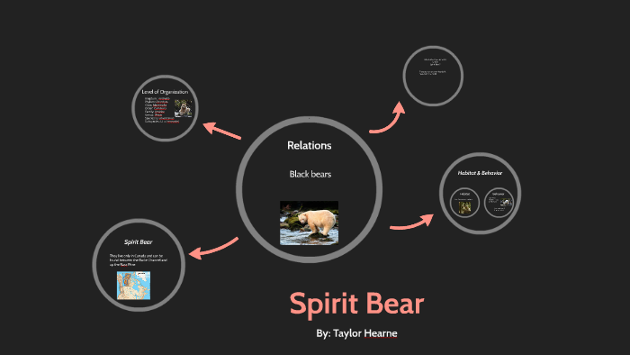 Classification of Animals by Taylor H on Prezi