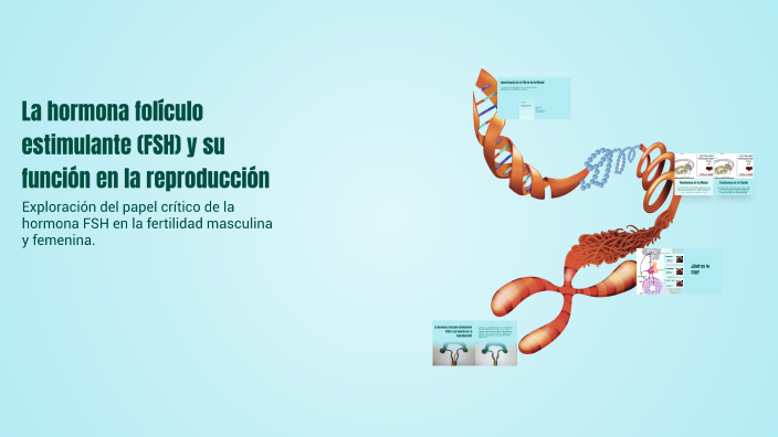 La hormona folículo estimulante (FSH) y su función en la reproducción ...