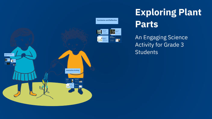 Exploring Plant Parts by Anusha Masireddy on Prezi