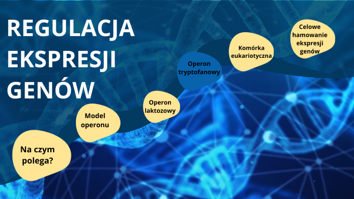 regulacja genow by natalia łączyńska on Prezi