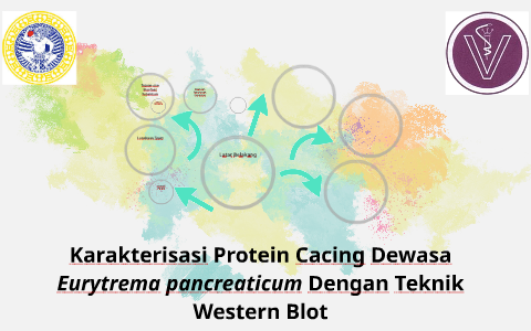 Karakterisasi Protein Cacing Dewasa by Kucing Manis on Prezi
