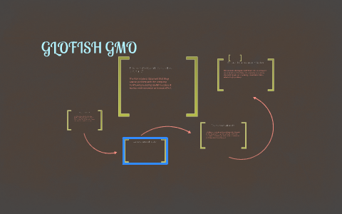 GLOFISH GMO by no stop on Prezi