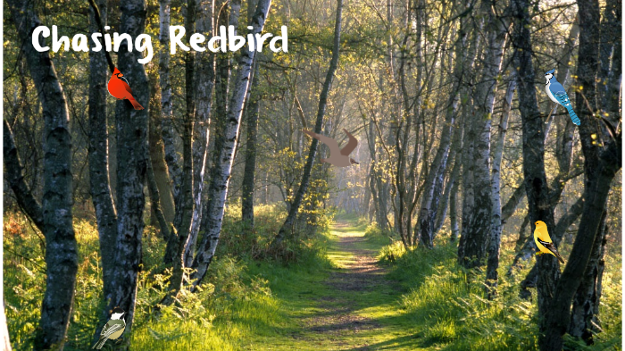 Chasing Redbird Summarative by Paul Smith on Prezi