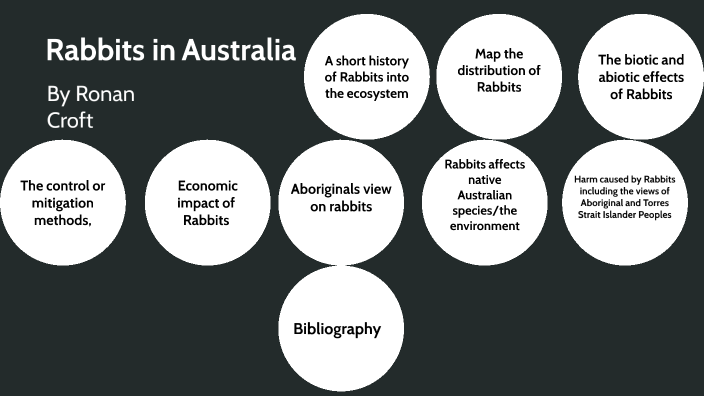 Rabbits in Australia by Ronan Croft on Prezi