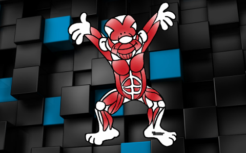 muscle system by Dylan Symonds on Prezi