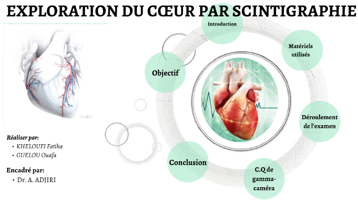 EXPLORATION DU CŒUR PAR SCINTIGRAPHIE by Chakib Mouzai on Prezi
