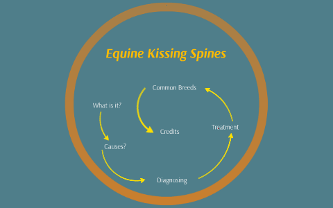 Equine Kissing Spines by Jessica Emmons on Prezi