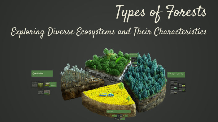 Types of Forests by Amit Malakar on Prezi