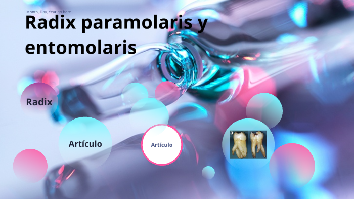 Radix entomolaris y paramolaris by Alejandra Gomez Del Pino on Prezi