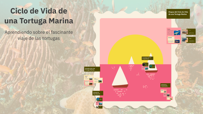 Ciclo de Vida de una Tortuga Marina by Eleida Neira Ojeda on Prezi