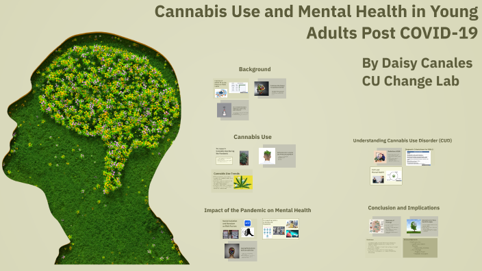 Cannabis Use and Mental Health in Young Adults post COVID-19 by Daisy ...