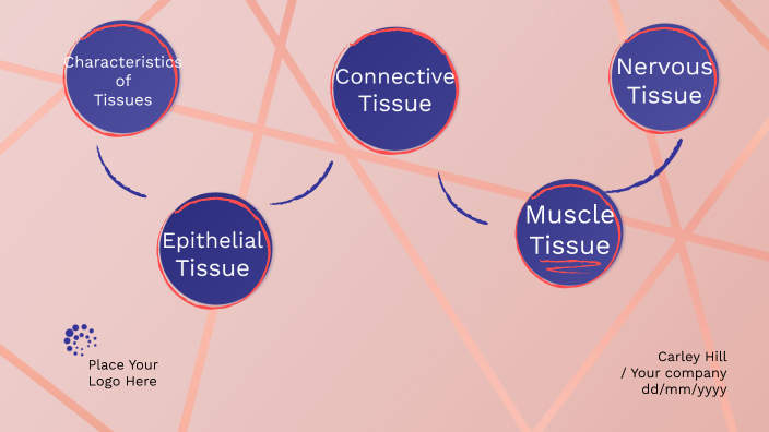 Tissue project by Carley Hill on Prezi