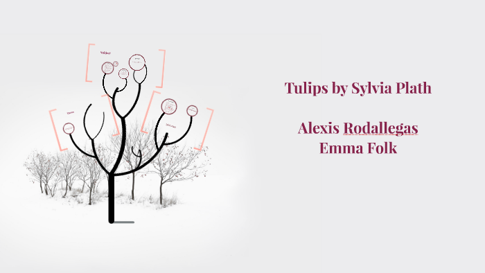 Tulips by Sylvia Plath by Alexis Rodallegas on Prezi