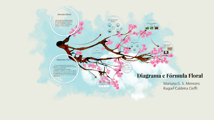 Diagrama e Fórmula Floral by Mariana Menezes on Prezi