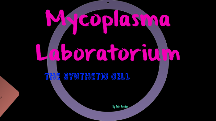 Mycoplasma Laboratorium by Erin Roeder on Prezi