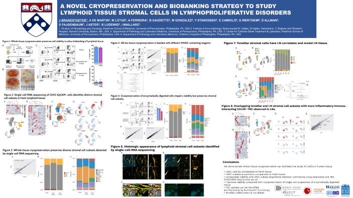 ASH_poster by Joshua Brandstadter on Prezi