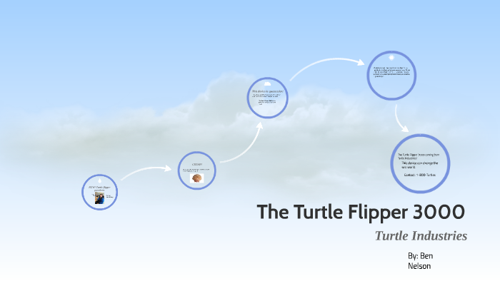 NEW! Turtle flipper prosthetic by Ben Nelson on Prezi