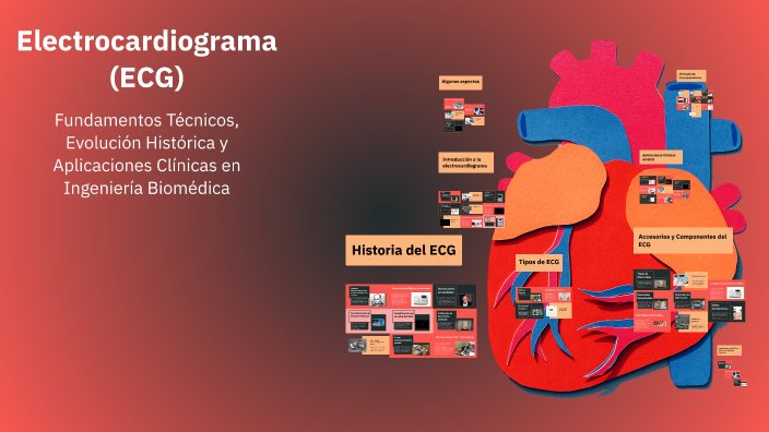 Electrocardiograma (ECG) by Luis Rodriguez on Prezi