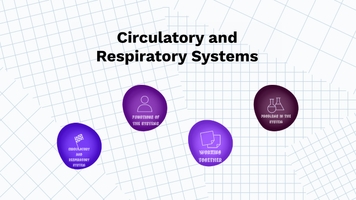 Organ System Project by DENNISE CASTILLO on Prezi
