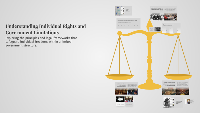 Understanding Individual Rights and Government Limitations by Tyler ...