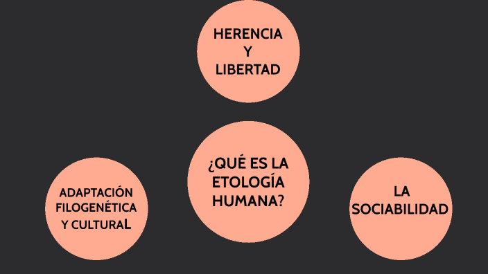 BBCH by Martin Martin Kieffer on Prezi