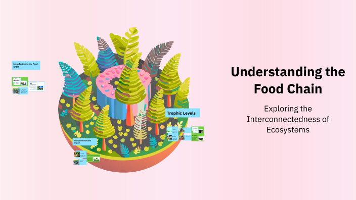 Understanding the Food Chain by Jorge Acosta Ayala on Prezi
