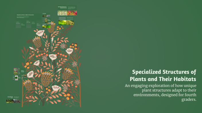 Specialized Structures of Plants and Their Habitats by foremergency on ...