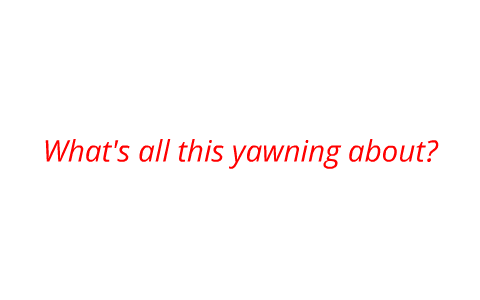 What's all the yawning about? by Taylor Gerleman on Prezi
