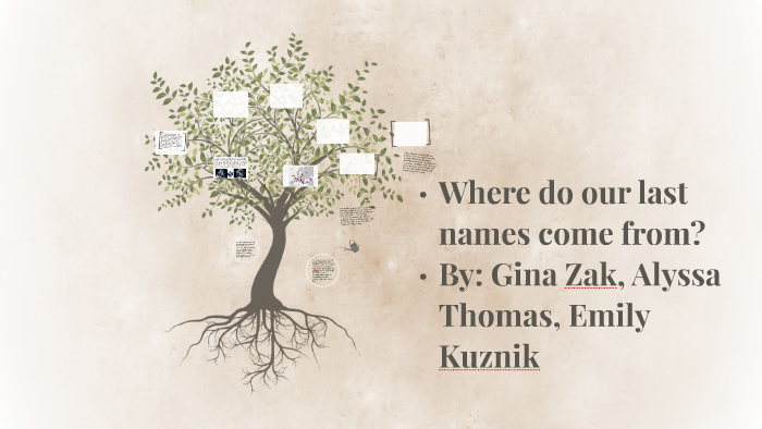 Where Do Our Last Names Come From By Gina Zak where-do-our-last-names-come-from-by-gina-zak
