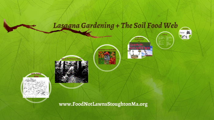 Lasagna Gardening + The Soil Food Web by Lindsey Medeiros on Prezi