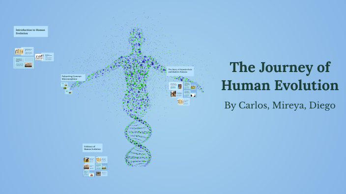The Journey of Human Evolution by Carlos N on Prezi