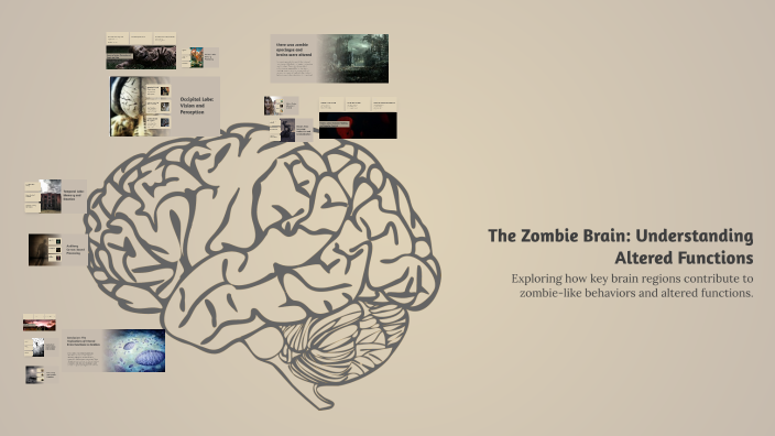 The Zombie Brain: Understanding Altered Functions by Christopher Lynch ...
