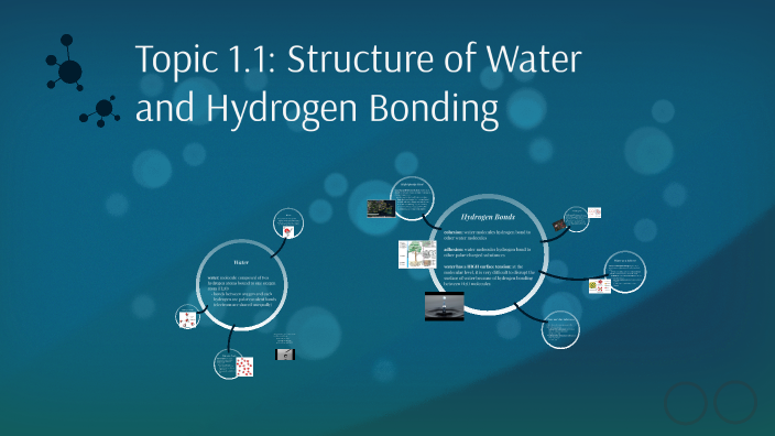 *1.1: Structure of Water and Hydrogen Bonding by Kimberly Christian on ...