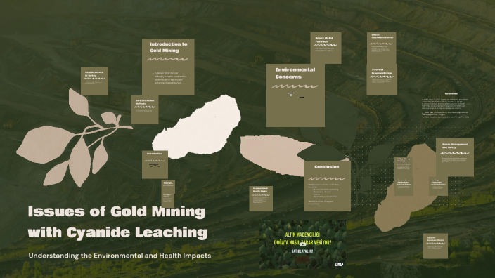 Environmental Impact of Gold Mining with Cyanide Leaching by Muhammed ...