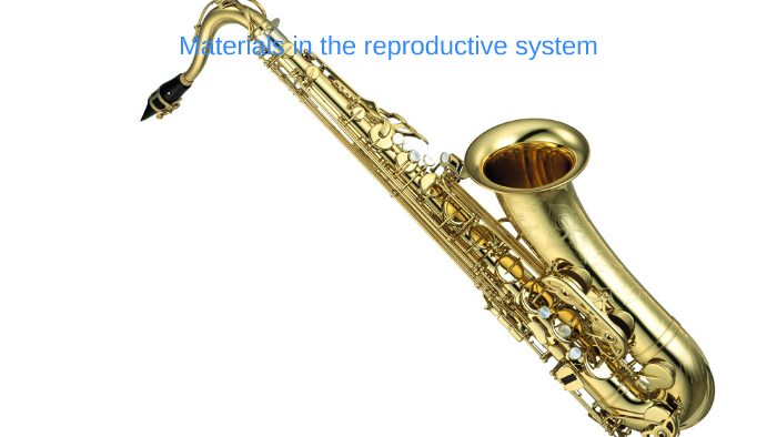 materials in the reproductive system by C. L. on Prezi