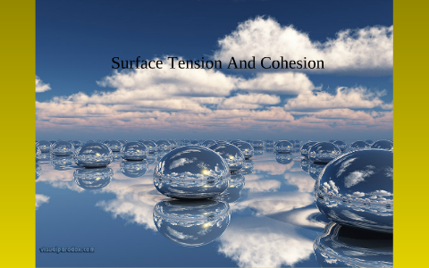 Surface tension and cohesion by Aleya Fraser on Prezi