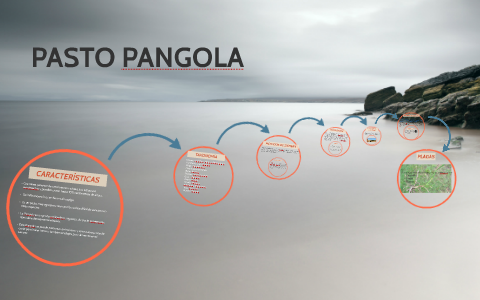 PASTO PANGOLA by on Prezi