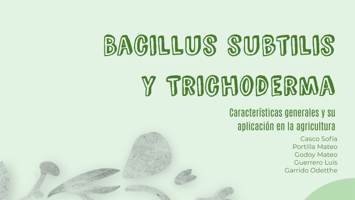 Bacillus subtilis y Trichoderma by Odetthe Garrido on Prezi