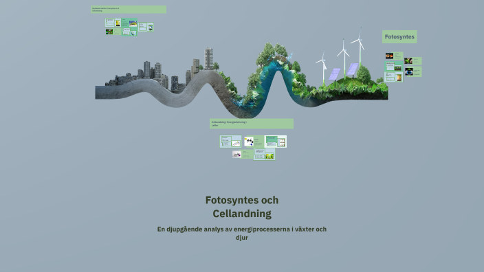 Fotosyntes och Cellandning by Arachnid on Prezi