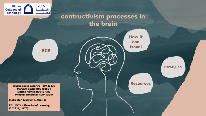 cognitive processes to the brain by