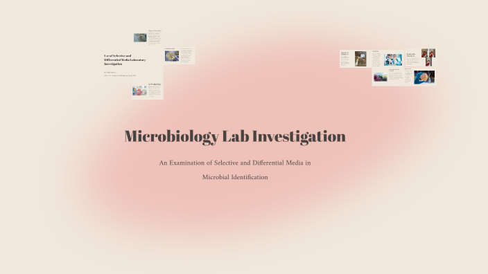 Microbiology Lab Investigation by Noelle Howard on Prezi