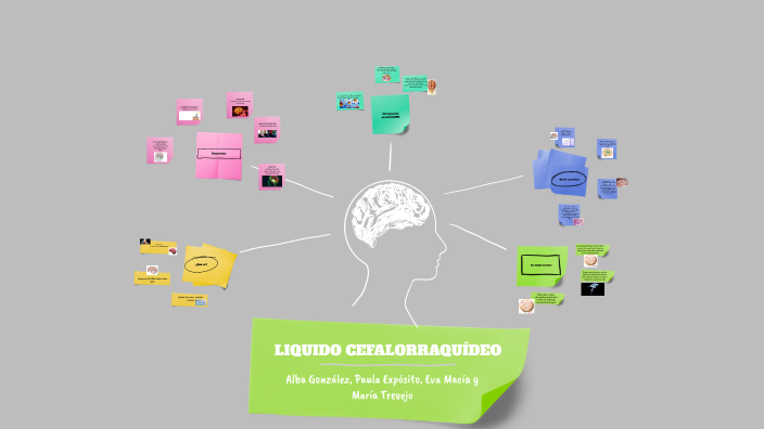 INFORME ESCRITO ANATOMÍA by Maria Trevejo on Prezi