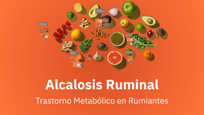 Alcalosis Ruminal by Alejandra Reyes on Prezi