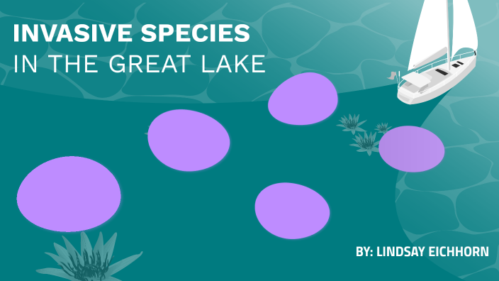 Invasive Species In The Great Lakes by Lindsay Eichhorn on Prezi