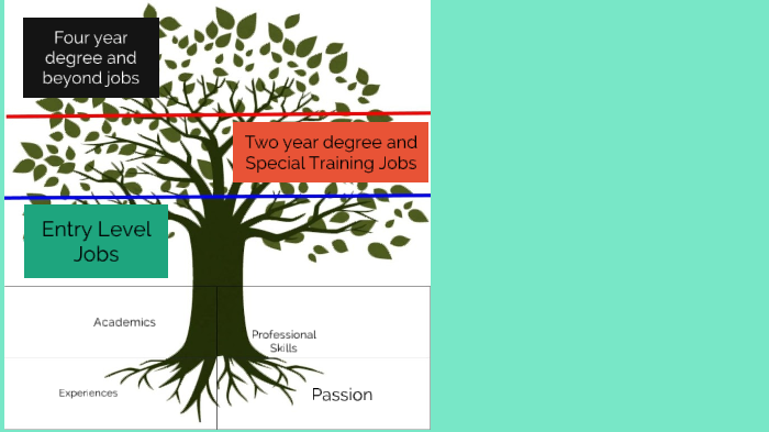 Career Tree by Rosina Subba on Prezi