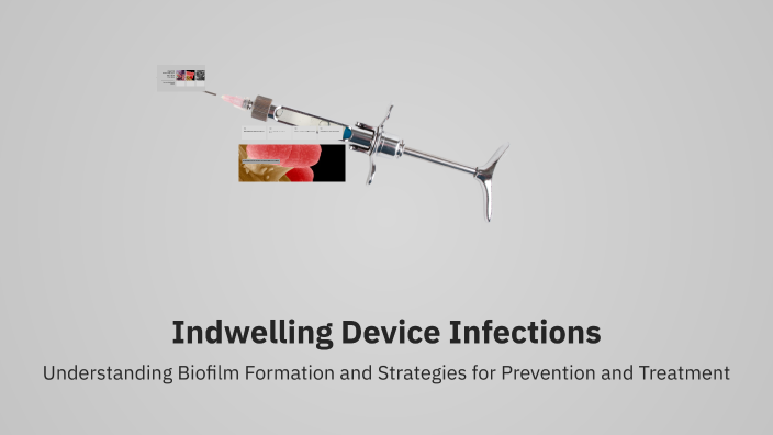 Indwelling Device Infections: Understanding Biofilm Dynamics by Shara ...