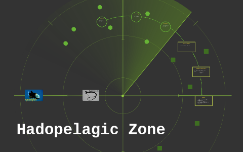 Hadopelagic Zone by Justin Gunn on Prezi