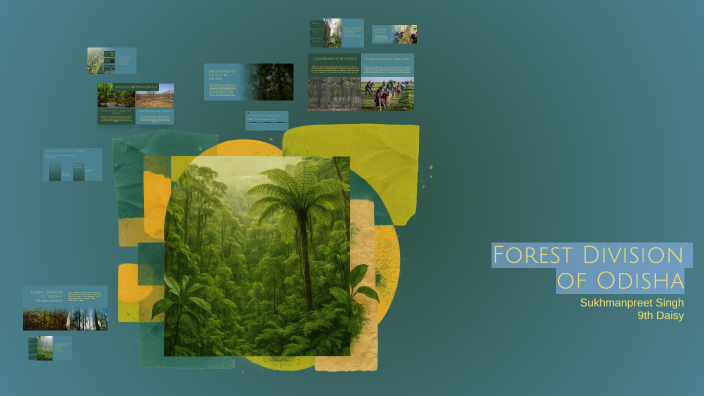 Forest Division of Odisha by leena on Prezi
