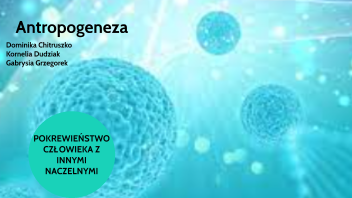 Antropogeneza by Gabrysia Grzegorek on Prezi