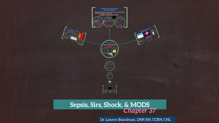 Sepsis, Sirs, Shock, & MODS by Lauren Boardman on Prezi